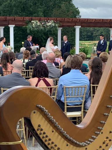 M & M Music - Hire a Musician